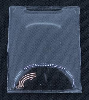 FANCY133 | BCL Fancy 21.0 x 15.0
